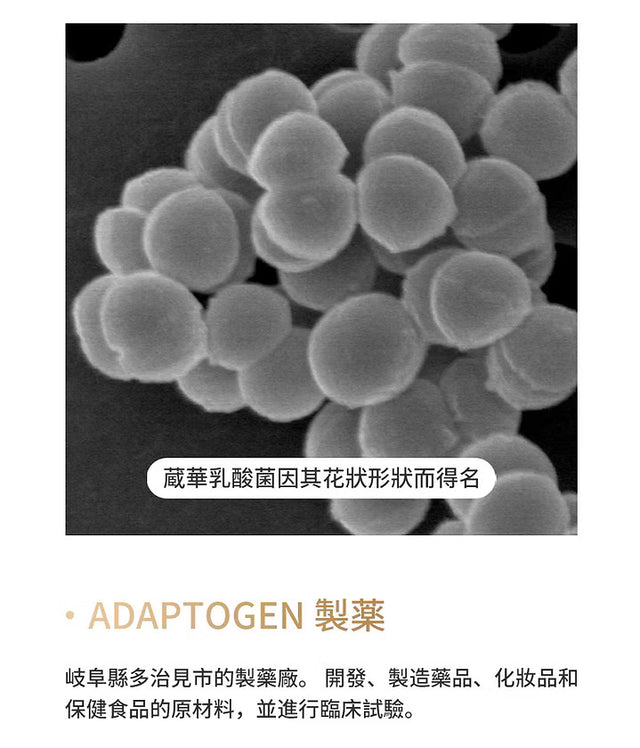 六花堂 NMN健腸酵素 - Inner Beauty Supplement 90粒 | 日本製造 – EWHA CARE